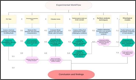 Experimental Workflow Conducted In The Study Download Scientific Diagram