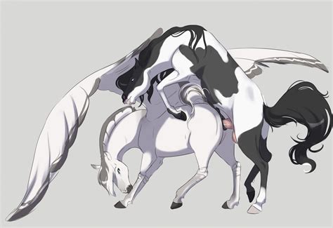 Rule 34 2023 Animal Genitalia Animal Penis Animal Pussy Anus Balls