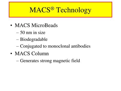 Ppt Cell Separation Using Magnetic Beads Powerpoint Presentation Free Download Id 713510