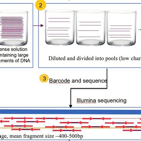 figure pooled clone sequencing 1 a dense solution that contains