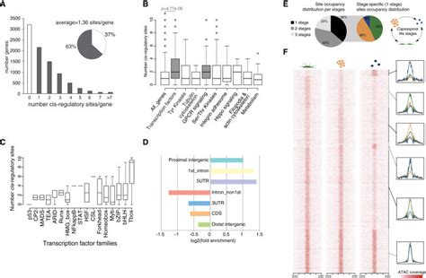 The Genomic Landscape Of Cis Regulatory Elements In Capsaspora Download Scientific Diagram