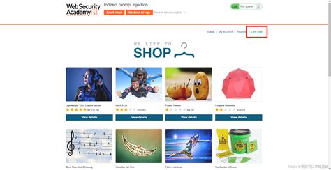 Web Llm 攻击实验：间接注入间接快速注入lab Csdn博客