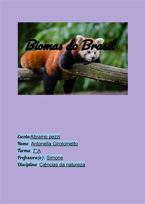 Leão Características Fotos Ameaças Animais Infoescola