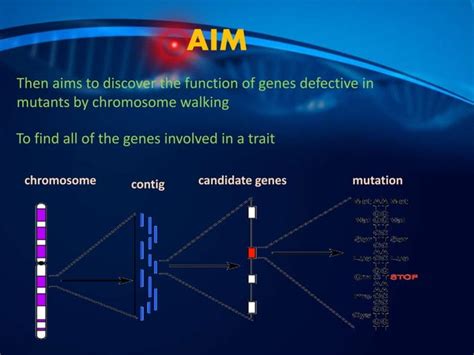 Forward And Reverse Genetics Pptx Genetics Science