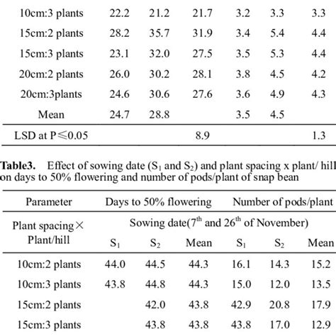 Effect Of Sowing Date S1 And S2 And Plant Spacing X Plants Hill On