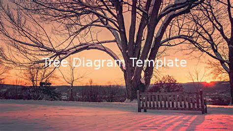 Tree Diagram Templates Sample Example Format Download