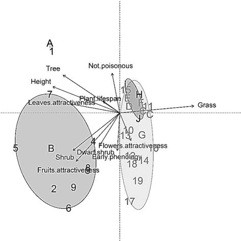 Cluster Dendrogram Based On 11 Functional Traits Download Scientific Diagram