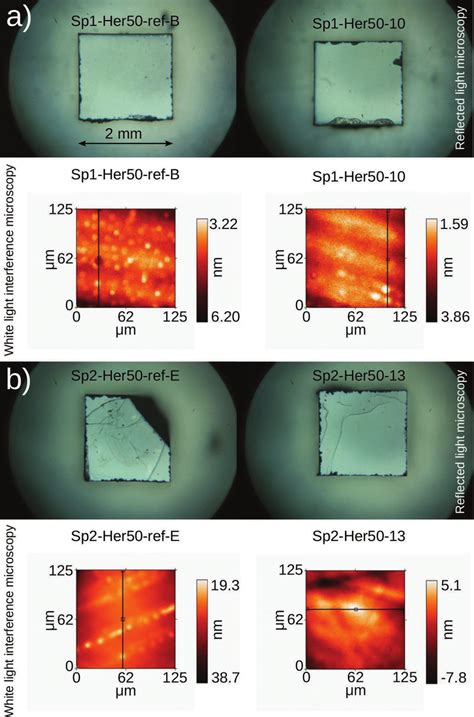 Reflected Light Microscopy And White Light Interference Microscopy Download Scientific Diagram