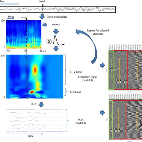 FMRI Model Derivation From EEG Frequency Decomposition Models 3 And 4 Download Scientific