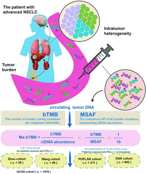 Study Design The Patient With Advanced NSCLC Is Characterized By High Download Scientific