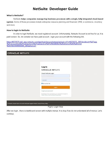 Netsuite Developer Guide Pdf