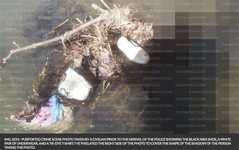 The Delphi Hiking Murders Abigail Williams And Liberty German