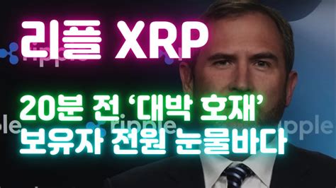 리플 보유자 난리 났다 코인추천 Youtube