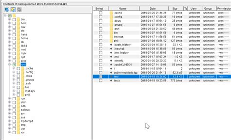 Avamar How To Perform A Linux Vmware File Level Restore Without Using