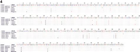 Multiple Alignment Of The Rbc L Exon 1 DNA Gene Nucleotide Sequence Download Scientific Diagram
