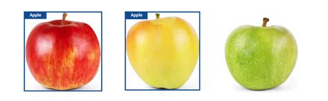 Evaluating Object Detection Metrics Datasets And Novelties In Computer Vision