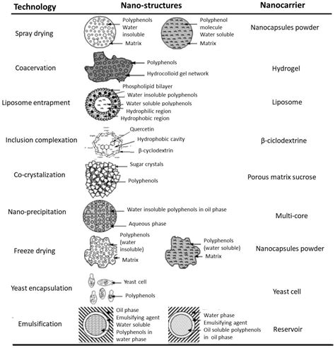 Foods Free Full Text Valorisation Of Micronanoencapsulated