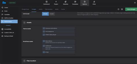 Font Awesome Not Working — Betheme Support Forum