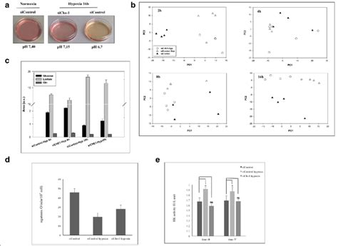 Che 1 Is Involved In The Metabolic Switch In Response To Hypoxia A Download Scientific Diagram