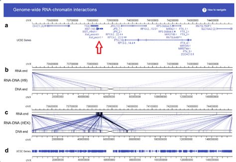 A Custom Website Hosting Genome Wide RNA DNA Interaction Datasets Download Scientific Diagram