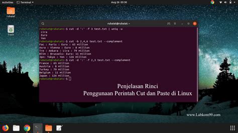 Perintah Cut Dan Paste Di Linux Penjelasan Rinci Penggunaan