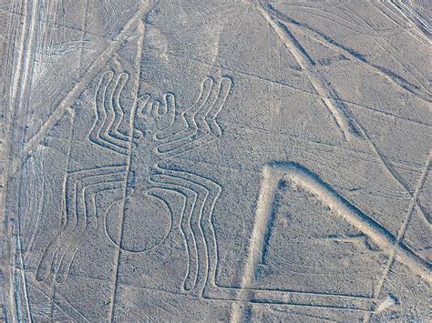 Se Ha Descubierto El Auténtico Significado De Las Líneas De Nazca Infobae