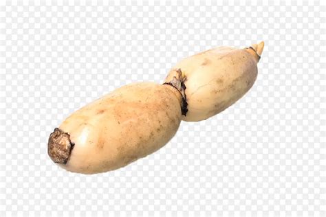 Png Png