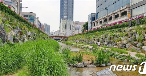 부천시 그린시티green City 대통령상 수상