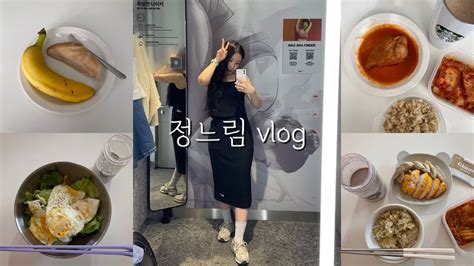 Vlog｜일상 브이로그｜느림씨의 돼지런한 지난 일상｜다이어트 가보자고~｜오랜만이에요｜다이어트 브이로그｜먹방 브이로그 Youtube