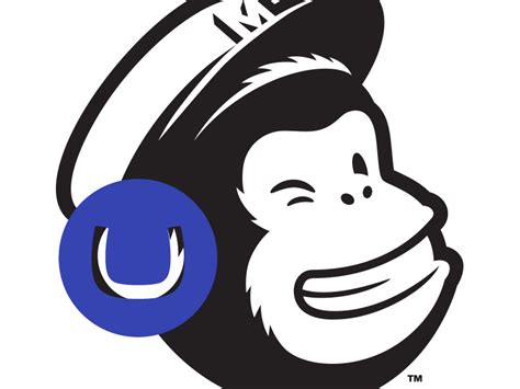 Mailchimp Umbracoforms Custom Workflow