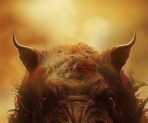 Image Gallery For Feral Filmaffinity