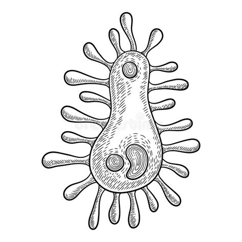 Eubacteria Drawing