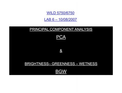 Brightness Remote Sensing And Gis Laboratory