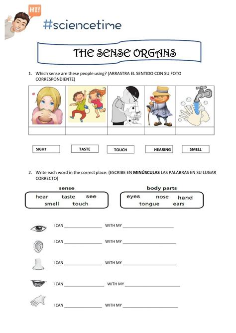 Sense Organs Worksheet Printable Coloring Free