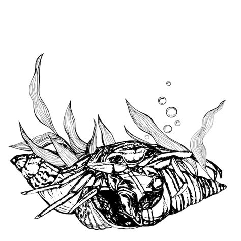 Premium Vector Marine Composition Crab Sitting On A Shells Algae