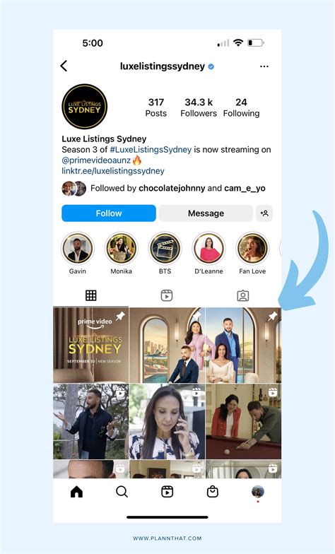 View Pinned Posts In Your Plann Social Grid Plann