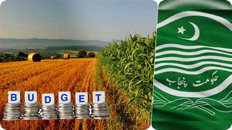 Punjab Governments Commitment To Agriculture Sector Development