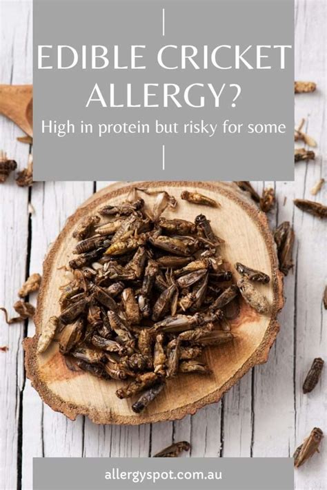 Lupin Allergy What You Need To Know About Lupin In Food