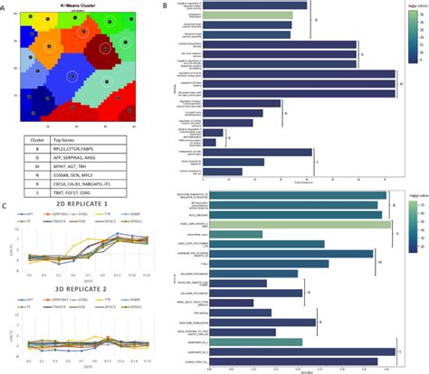 Unsupervised Analysis Of Whole Transcriptome Data From Human Pluripotent Stem Cells Cardiac