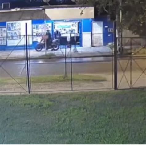 Hulk El Pitbull Más Grande Pesa 79 Kilos Y Es Furor En Internet Infobae