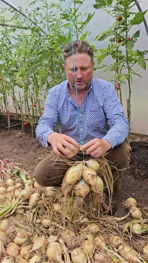 Tying Up Your Onions For Storing YouTube