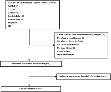 A Systematic Review Of Clinical Trials On Ginkgo Ginkgo Biloba Effectiveness On Sexual