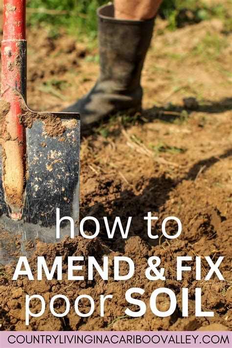 How To Improve Clay Soil Artofit