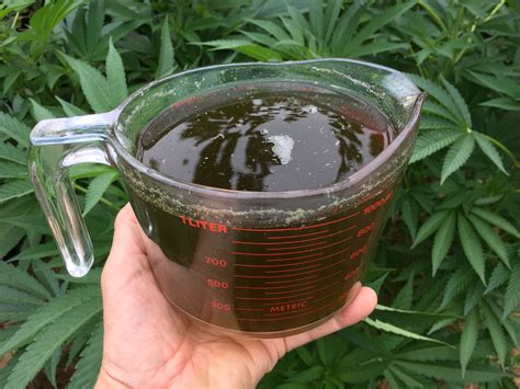 Compost Tea In The Cannabis Garden Alchimia Grow Shop