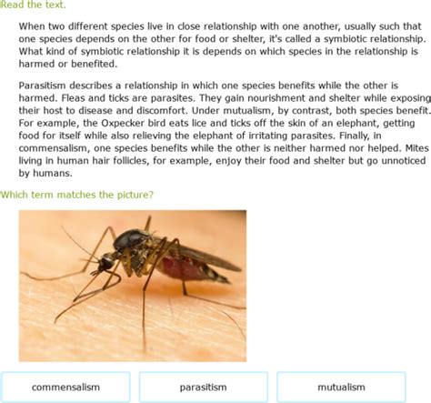 Ixl Determine The Meaning Of Domain Specific Words With Pictures