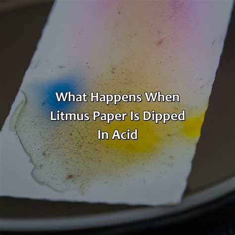 What Color Does Litmus Paper Turn In Acid