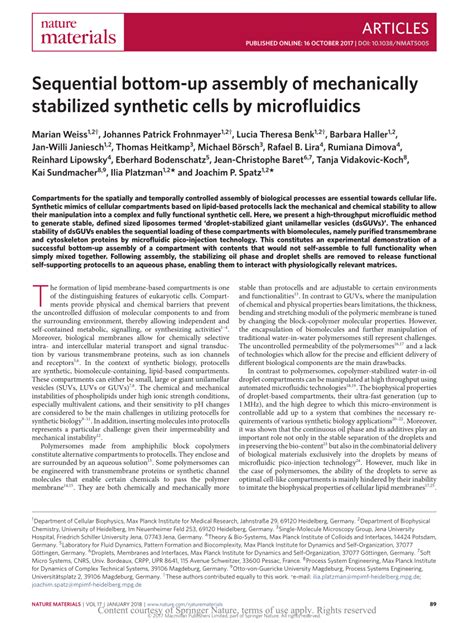 Sequential Bottom Up Assembly Of Mechanically Stabilized Synthetic
