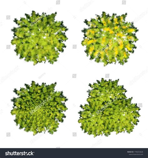 Set Watercolor Tree Top View Landscape Stock Illustration 1798254628