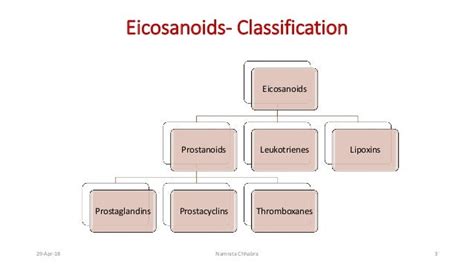 Eicosanoids Chemistry And Function