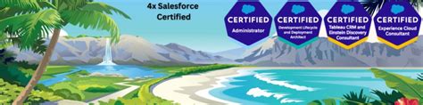 Varun Gulati 👉 Ꝏ ☁️ ️ 👨‍💻 On Linkedin Salesforce Agentforcechampion
